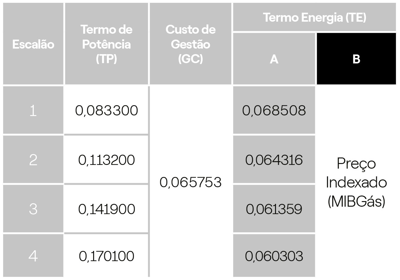 Tarifa Indexada Luz e Gás | Endesa